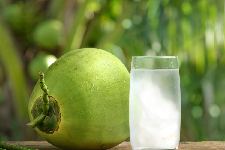 Benarkah Mengonsumsi Air Kelapa Hijau Secara Rutin Bisa Meningkatkan Kesuburan? - Kanya.ID